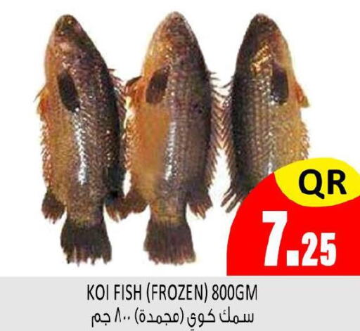 Qatar - Doha offers in D4D Online