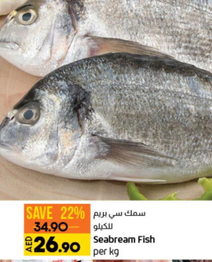 Fresh Fish offers in UAE - Umm al Quwain
