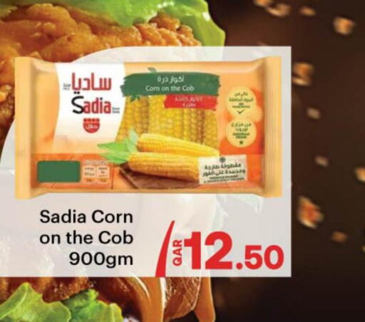 Ansar Gallery Frozen Foods offers in Qatar - Doha