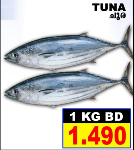 Fresh Fish offers in Bahrain