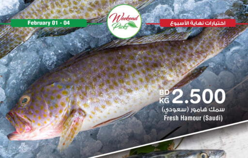 Fresh Fish offers in Bahrain