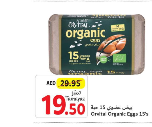 Eggs offers in UAE - Dubai