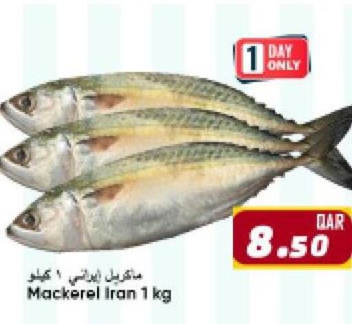Fresh Fish offers in Qatar - Al Rayyan
