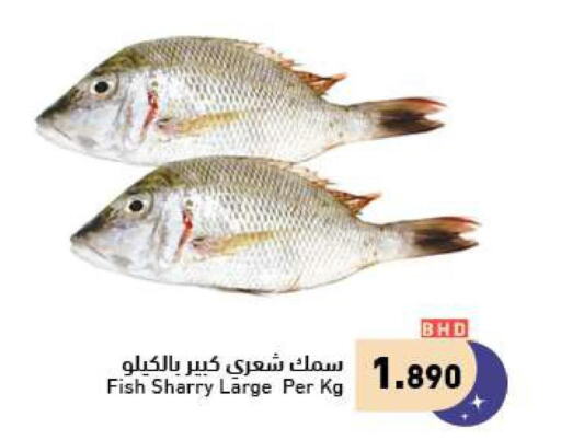 Bahrain offers in D4D Online