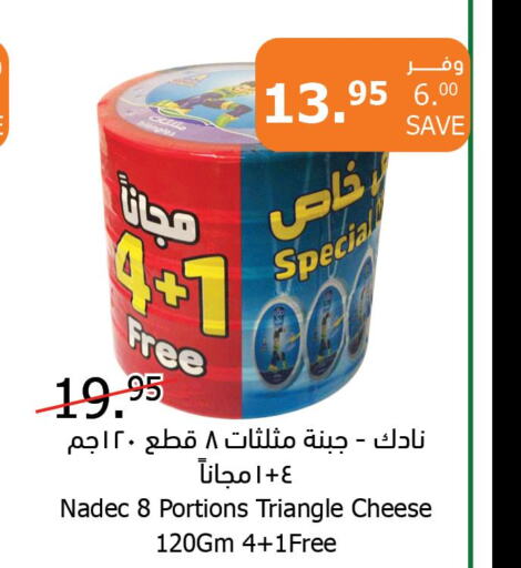 NADEC Triangle Cheese in Al Raya مملكة العربية السعودية, السعودية ...