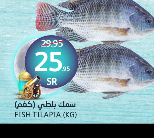 Fresh Fish offers in KSA, Saudi Arabia, Saudi - Riyadh