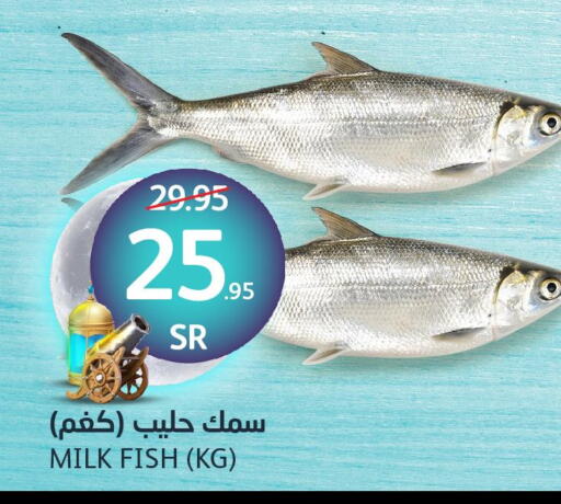 Fresh Fish offers in KSA, Saudi Arabia, Saudi - Riyadh
