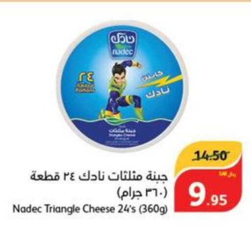 NADEC Triangle Cheese in Al Raya مملكة العربية السعودية, السعودية ...