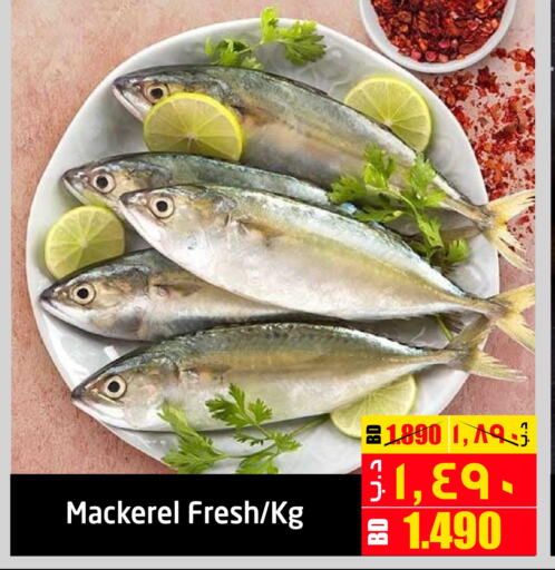 Fresh Fish offers in Bahrain
