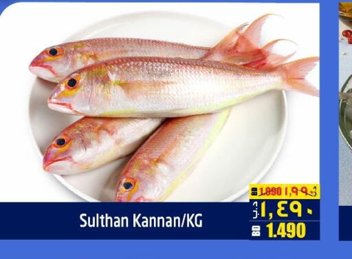 Fresh Fish offers in Bahrain