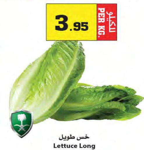 Fresh Vegetables offers in KSA, Saudi Arabia, Saudi - Jeddah