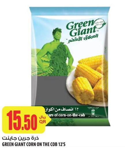 Frozen Foods offers in Qatar - Al Wakra