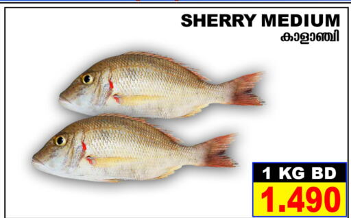 Bahrain offers in D4D Online