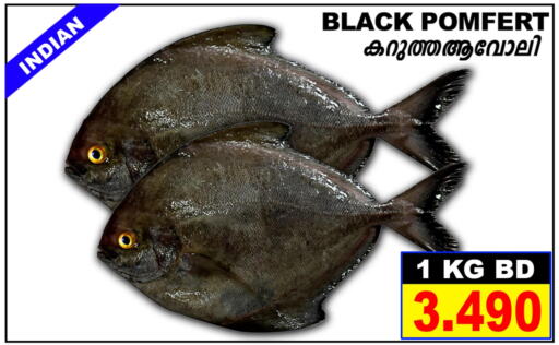 Bahrain offers in D4D Online