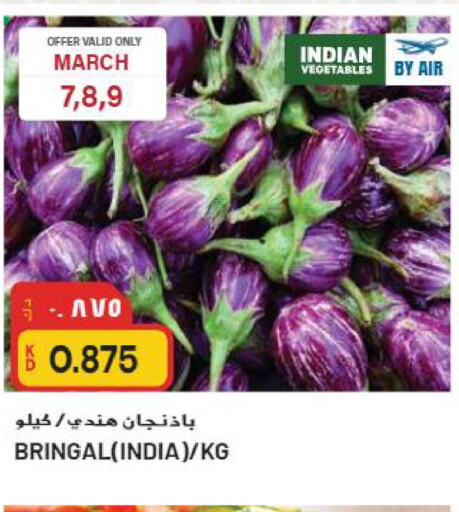 Fresh Vegetables offers in Kuwait - Ahmadi Governorate