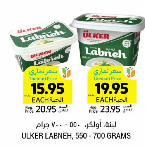 Yogurt & Labneh offers in KSA, Saudi Arabia, Saudi - Tabuk