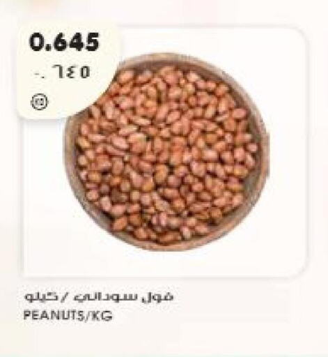Pulses, Beans & Grains offers in Kuwait - Ahmadi Governorate