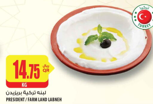 Yogurt & Labneh offers in Qatar - Doha