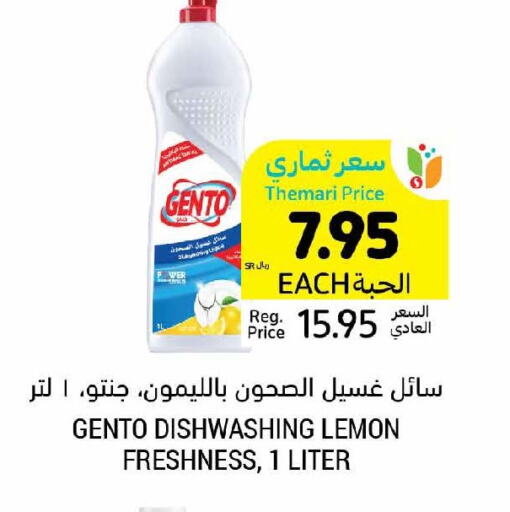 GENTO in City Flower KSA, Saudi Arabia, Saudi - Al Khobar | D4D Online