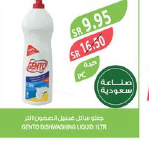 GENTO in City Flower KSA, Saudi Arabia, Saudi - Al Khobar | D4D Online