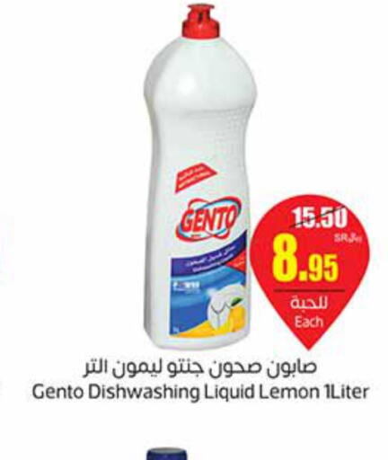 GENTO in City Flower KSA, Saudi Arabia, Saudi - Al Khobar | D4D Online