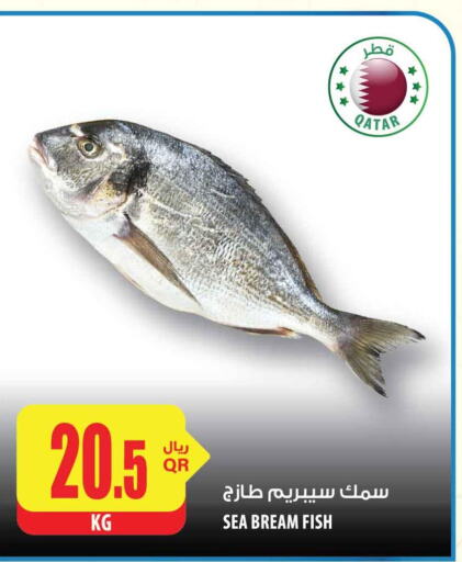 Qatar - Doha offers in D4D Online