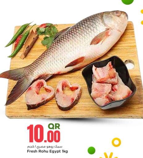 Qatar - Doha offers in D4D Online