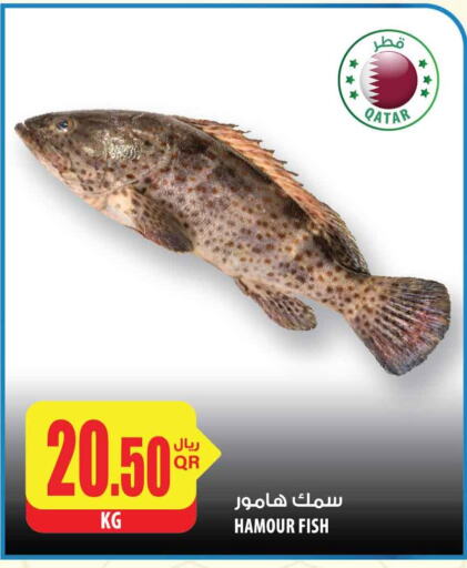 Qatar - Doha offers in D4D Online
