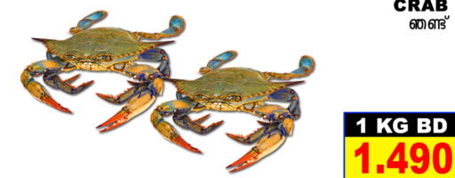 Bahrain offers in D4D Online