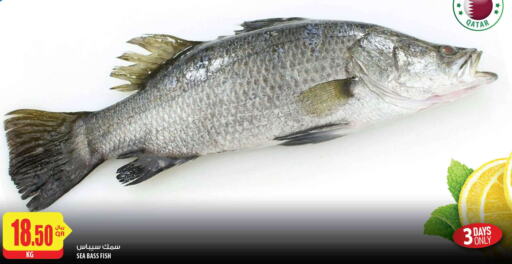 Qatar - Doha offers in D4D Online