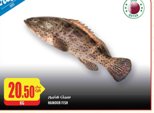 Qatar - Doha offers in D4D Online