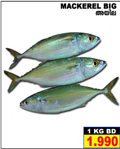 Bahrain offers in D4D Online