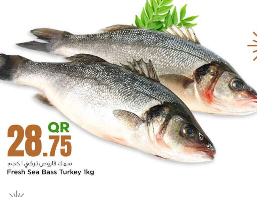 Qatar - Doha offers in D4D Online