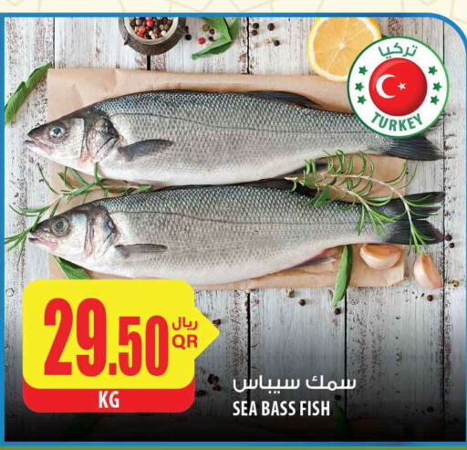 Qatar - Doha offers in D4D Online