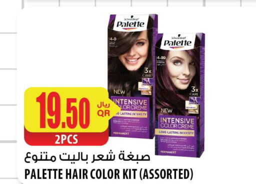 PALETTE Hair Colour in Carrefour Qatar - Doha | D4D Online