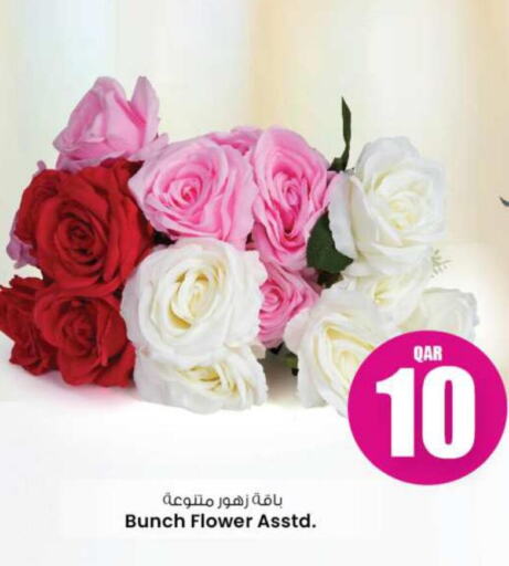 Qatar - Doha Ansar Gallery offers in D4D Online