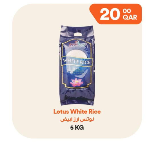 Rice offers in Qatar - Doha
