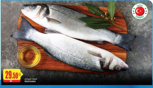 Qatar - Doha offers in D4D Online