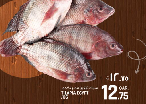 Qatar - Doha offers in D4D Online