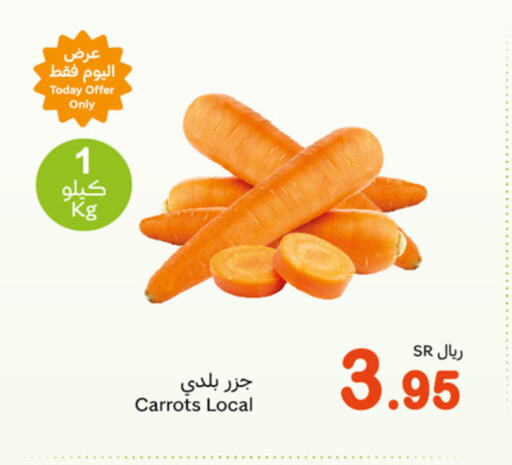 Fresh Vegetables offers in KSA, Saudi Arabia, Saudi - Riyadh