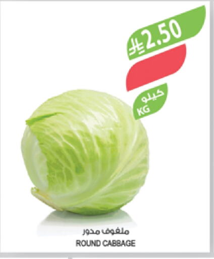 Fresh Vegetables offers in KSA, Saudi Arabia, Saudi - Riyadh