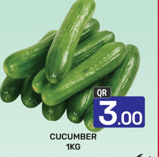 Cucumber in Majlis Hypermarket Qatar - Doha | D4D Online