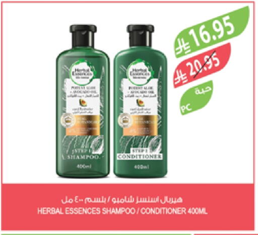 Shampoo / Conditioner in Family Discount KSA, Saudi Arabia, Saudi ...