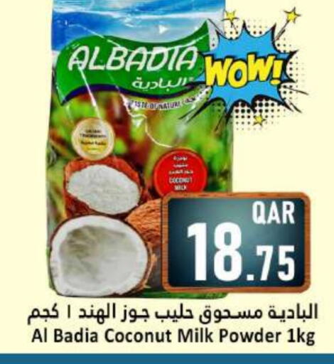 Coconut Powder in Dana Hypermarket Qatar - Doha | D4D Online