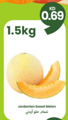 Sweet melon in Meem Central Market Co Kuwait - Ahmadi Governorate | D4D Online
