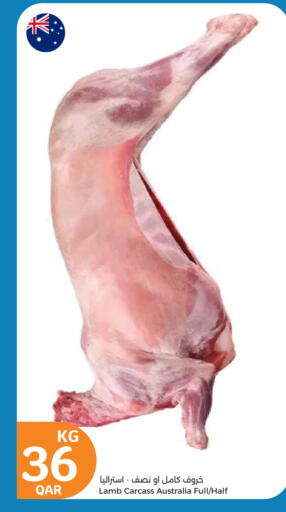 Mutton / Lamb in Gulf Food Center Qatar - Al Shamal | D4D Online