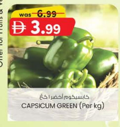 Chilli / Capsicum in Safa Express Supermarket UAE - Abu Dhabi | D4D Online