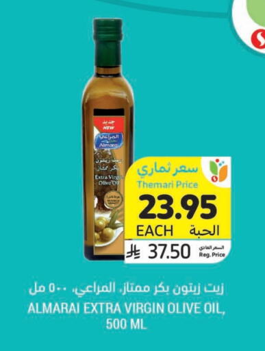 ALMARAI Virgin Olive Oil in Farm KSA, Saudi Arabia, Saudi - Dammam ...