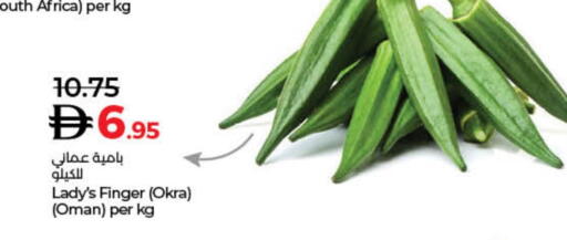 Lady's finger in K M Trading UAE - Dubai | D4D Online