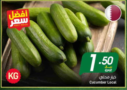 Cucumber in Majlis Hypermarket Qatar - Al Rayyan | D4D Online